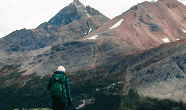 What is self preservation and 5 ways to build it